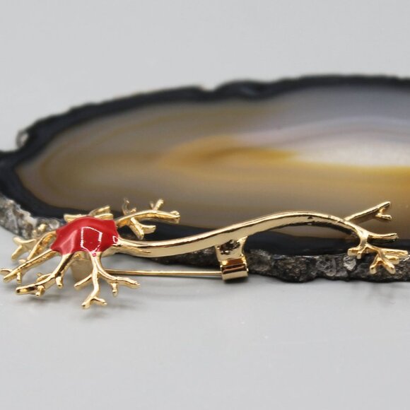 Jewelry | Nerve Anatomy Pin Brooch Jewelry Brand New Fashion Yellow ...